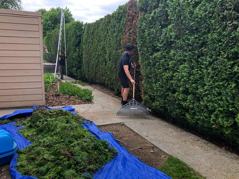 Spring Clean-Up for Yard & Garden in Kelowna | Razors Hedge